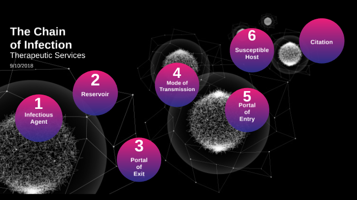 The Chain of Infection by Raerae Burns on Prezi