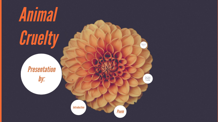 Cruelty Ramon by Ashley Ramon on Prezi
