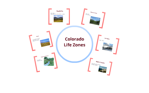 Colorado Life Zones by JoAnna Tripi
