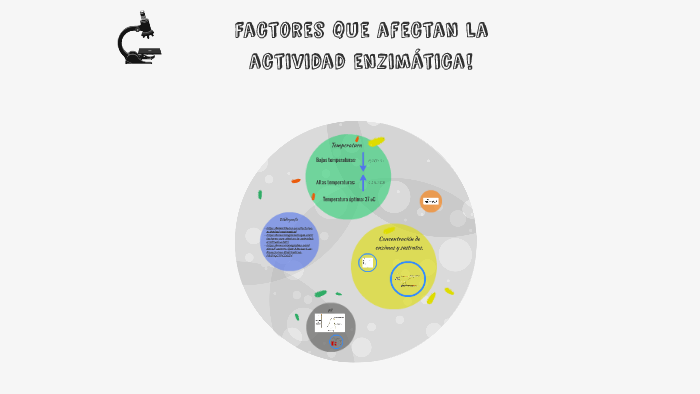 Factores que afectan la actividad enzimatica! by Sara Rodriguez Beltran ... Factores que afectan la actividad enzimatica! by Sara Rodriguez Beltran ...