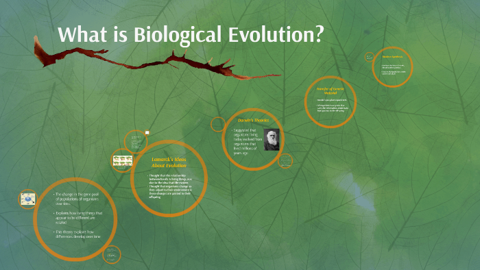 What is Biological Evolution by Amanda Engel on Prezi