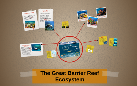 The Great Barrier Reef Ecosystem by Sarah Rowe on Prezi