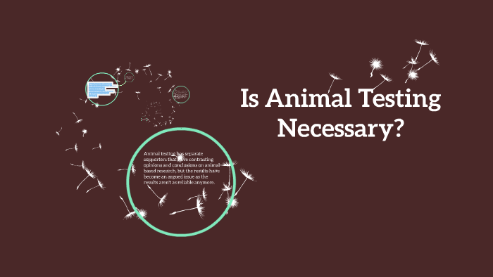 Is Animal Testing Necessary? by Peyton Walker on Prezi Is Animal Testing Necessary? by Peyton Walker on Prezi