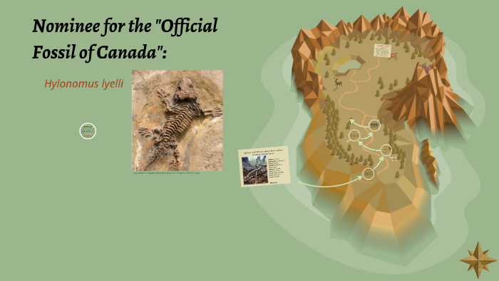 Official Fossil of Canada by gagan kataria on Prezi