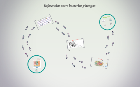 Diferencias entre bacterias y hongos by Sophix Menriv on Prezi