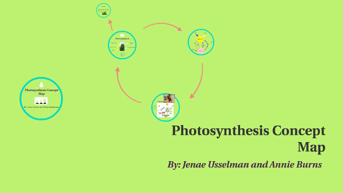 Photosynthesis Concept Map by Annie Burns on Prezi