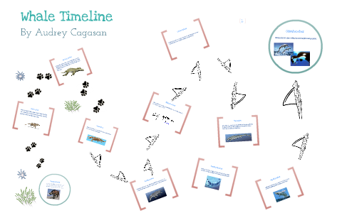 Walking Whale Timeline by Audrey Cagasan on Prezi