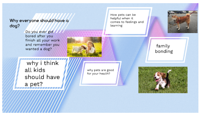 Why Should Everyone Have A Dog