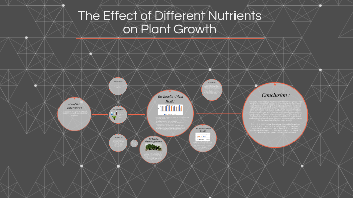 Erik's Science Basil Project by erik van haneghem-larsson on Prezi