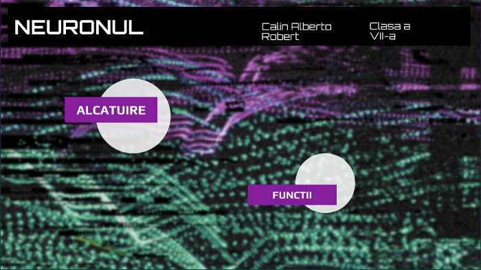 Neuronul- Alcatuire si Functii by Alberto Calin on Prezi