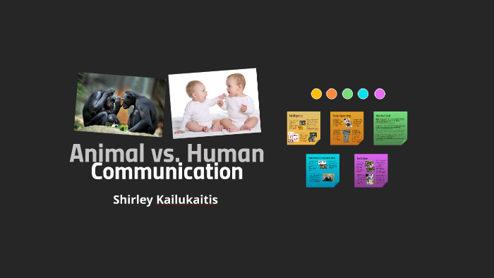 Animal vs Human Communication by Shirley Kailukaitis on Prezi