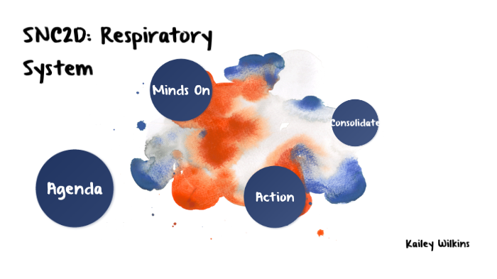 SNC2D: Respiratory System by Kailey Wilkins on Prezi