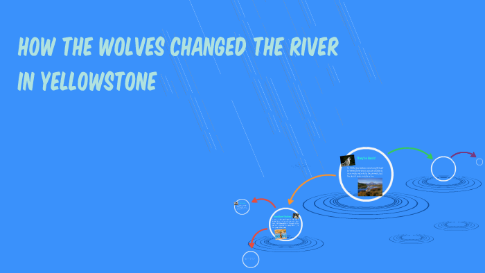 How the Wolves changed the river in Yellowstone by Mariana Bastías on Prezi