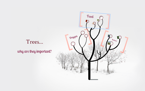 Informative Speech Visual Aid by Jose Gonzalez on Prezi