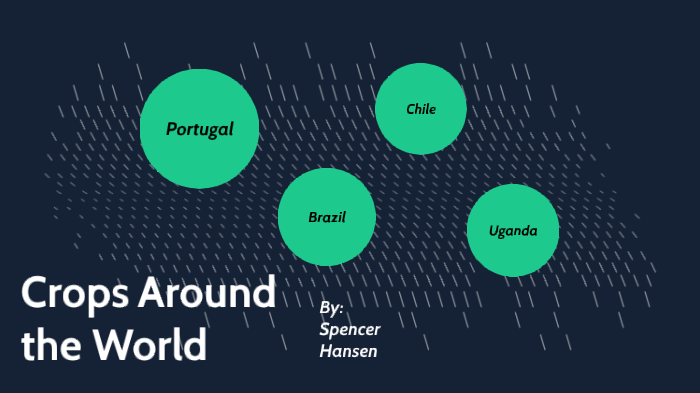 Crops Around the World by Spencer Hansen on Prezi