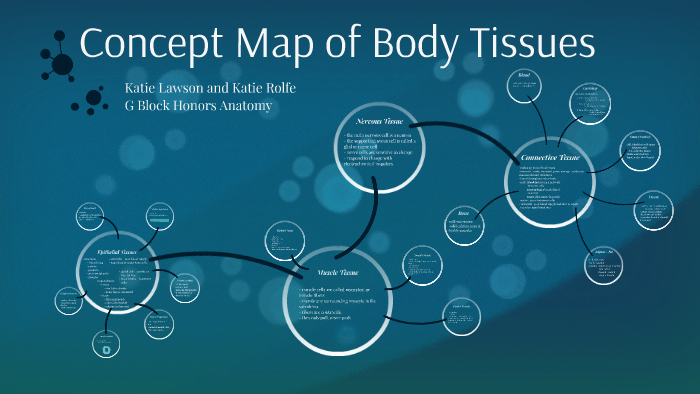 Concept Map of Body Tissues by on Prezi