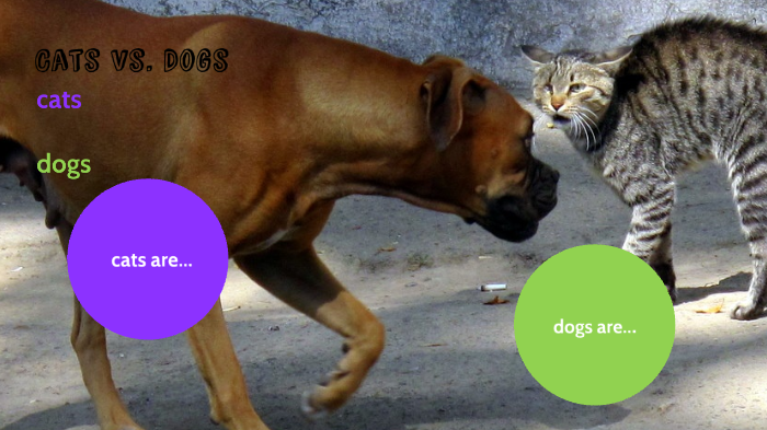 Cats vs. Dogs by Isaac Cupp on Prezi
