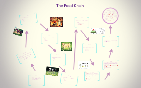 Parts of the Food Chain by Kenzie Hansen on Prezi