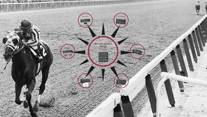 The Love of Horse Racing by Emily Graham