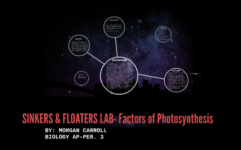 SINKERS & FLOATERS LAB by Morgan Carroll on Prezi