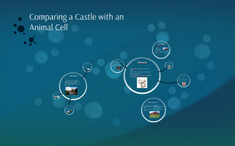 Cell analogy Project (Castle) by on Prezi