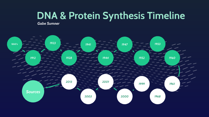 DNA & Protein Synthesis Timeline by Gabriel Sumner on Prezi