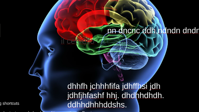 storia by laura bertoldi