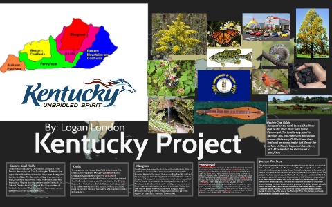 Kentucky Project by Kris London on Prezi