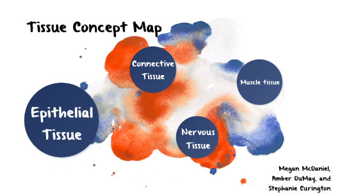 Tissue Concept Map- Megan, Amber, Stephanie by Megan McDaniel on Prezi