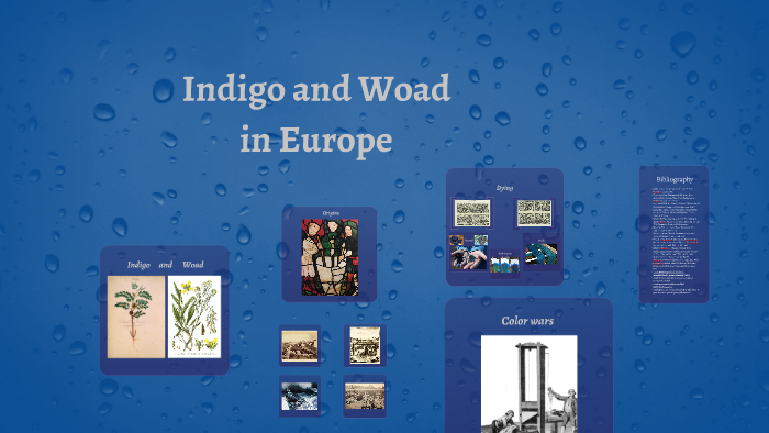 Indigo and Woad in Europe by on Prezi