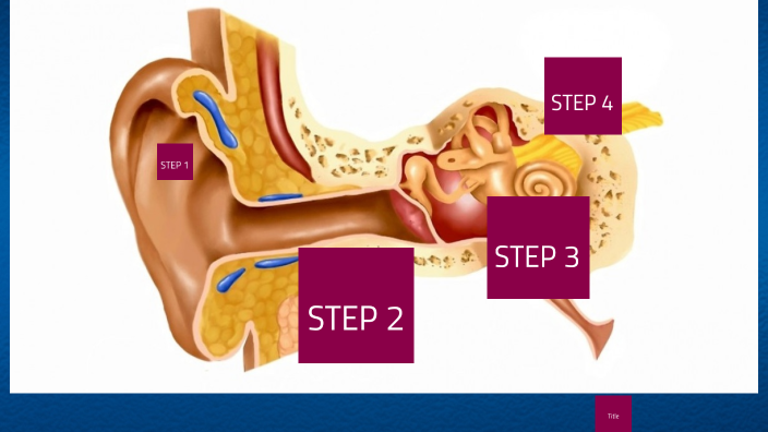 El gusto by Andy Quijano on Prezi