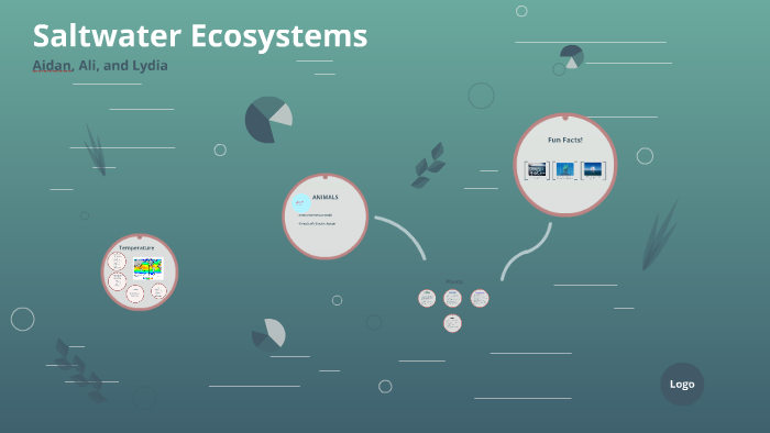 Saltwater Ecosystems by Ali Meacham on Prezi
