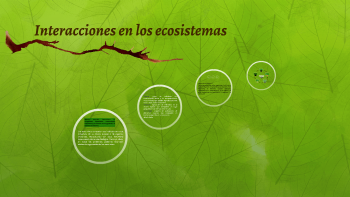Interacciones Y Ecosistemas