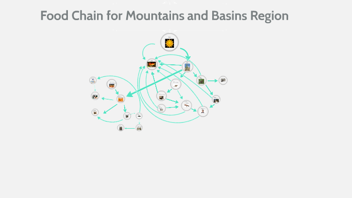 Food Chain for Mountains and Basins Region by Cassie Chapman on Prezi