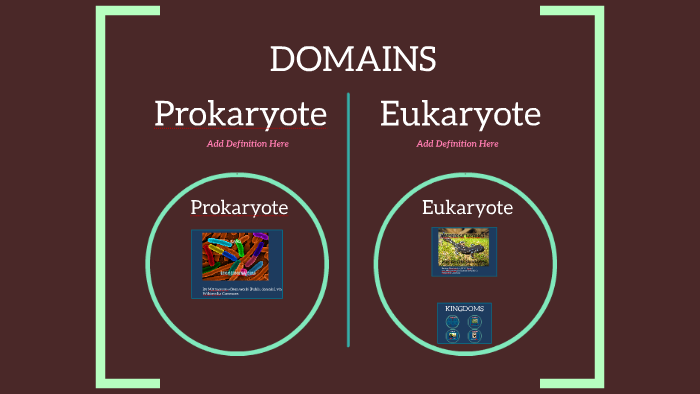 Allison Callaghan Animal Classification Template 2016 by Allison ...