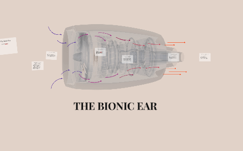 The Bionic Ear by Seth Argana on Prezi
