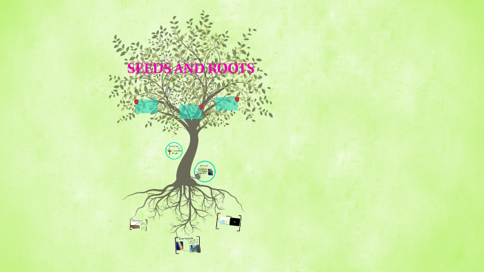 SEEDS AND ROOTS by liseth mejia on Prezi