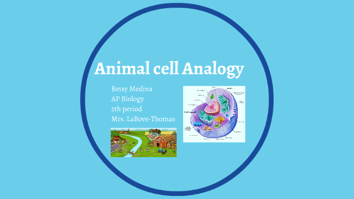 Animal cell Analogy by Betsy Medina on Prezi