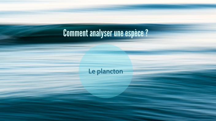 Comment analyser une espèce ? by wassef haroun on Prezi