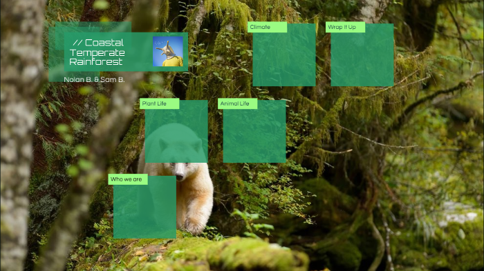 Coastal temperate rain forest by Nolan Babinski on Prezi
