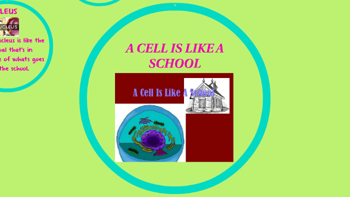 A CELL IS LIKE A SCHOOL by I'Reayona Brown on Prezi