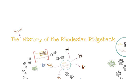 History of the Rhodesian Ridgeback by Faye Sweeney on Prezi