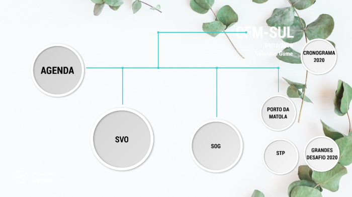 Resumo anual de actividades CFM Sul by Valeriano Gume on Prezi