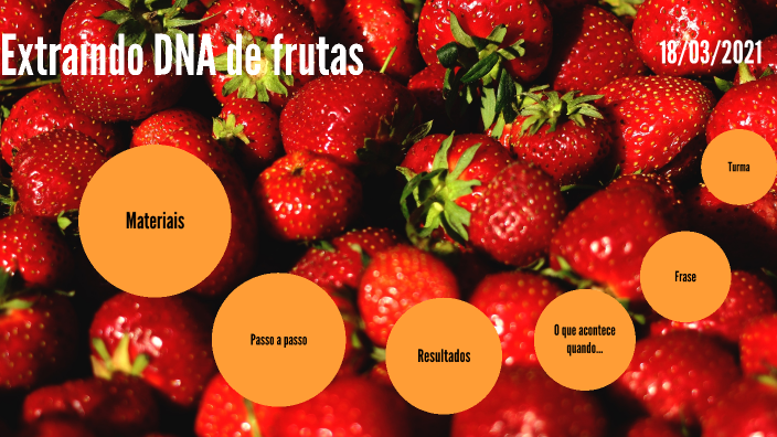 Extraindo DNA de frutas by Vitória Schossler Luckmann on Prezi
