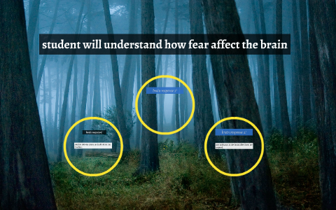 student will understand how fear affect the brain by Steven Mallard on ...