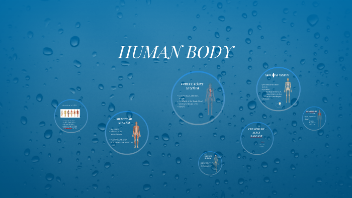 HUMAN BODY by Alice Saccani on Prezi