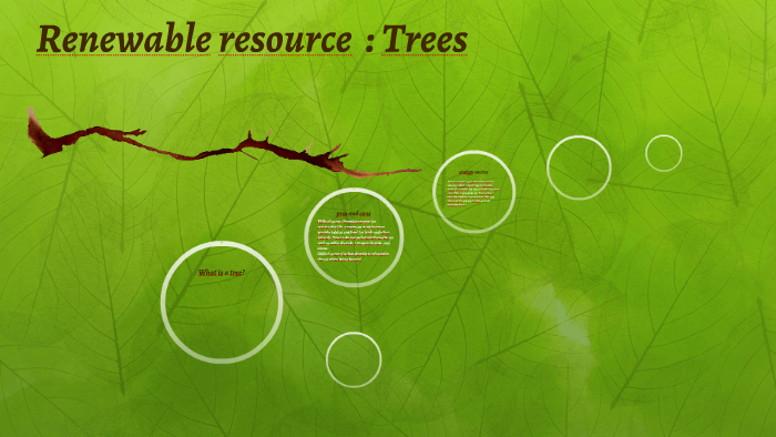 Renewable resource : Trees by Anthony Luu on Prezi
