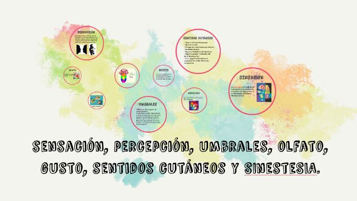 sensacion percepcion, humbrales, olfato, gusto, sentidos cut by Brayan ...
