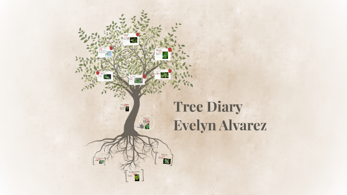 Tree Diary by Evalin Alvarez on Prezi