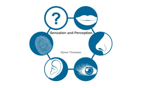 Why is vision important to psychology? by Elyssa Thompson on Prezi